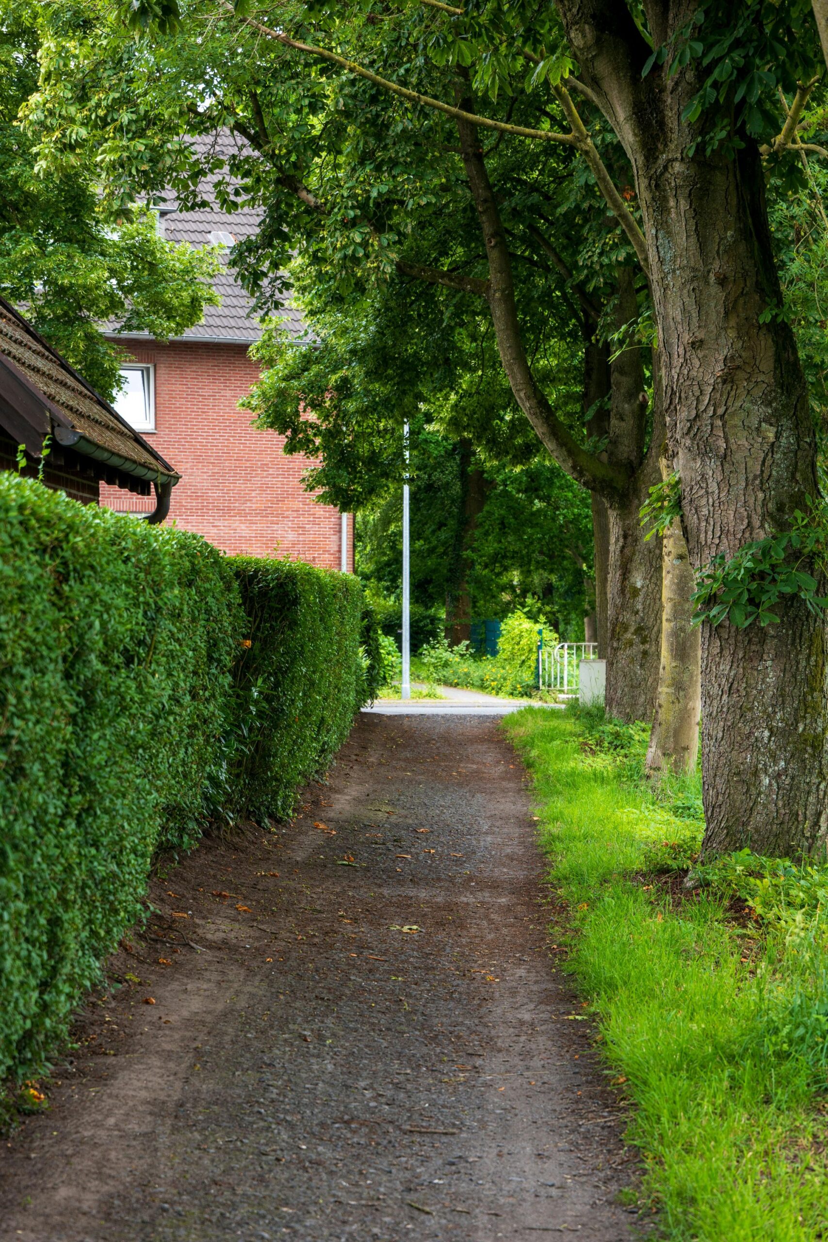 Hedges & Boundaries - Great Torrington Town Council